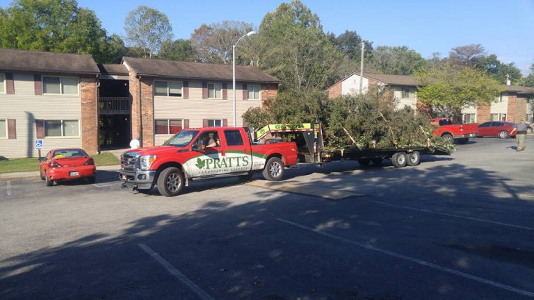 Gallery – Pratt's Landscaping Experts • Corbin, Kentucky